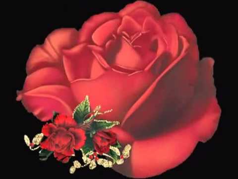 Zara - Aşk Bir Izdırap