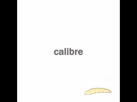 Calibre - People Never Change Feat. DRS - YouTube
