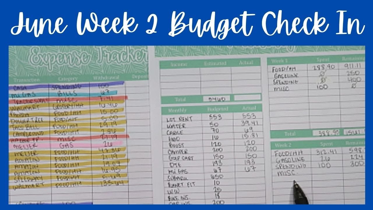 Weekly Budget Check In! | June Week 2 | Budget With Me! - YouTube