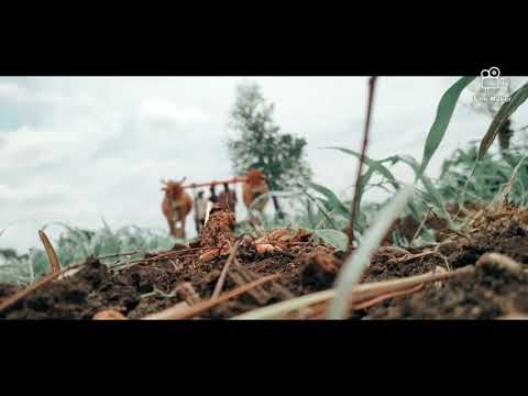 #Matichya potat asmanacha bal new whatsapp status 2020 | #newstatus