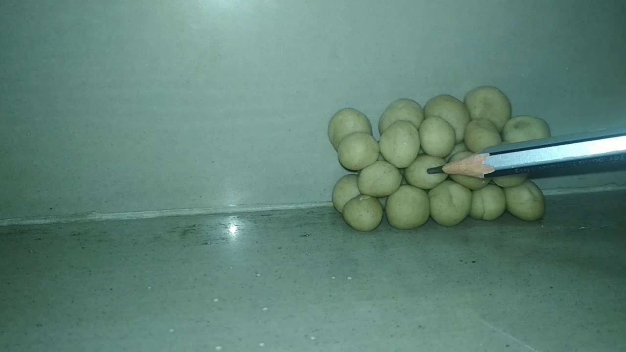 Solid state -CET, NEET concept 3 dimensional close packing - YouTube