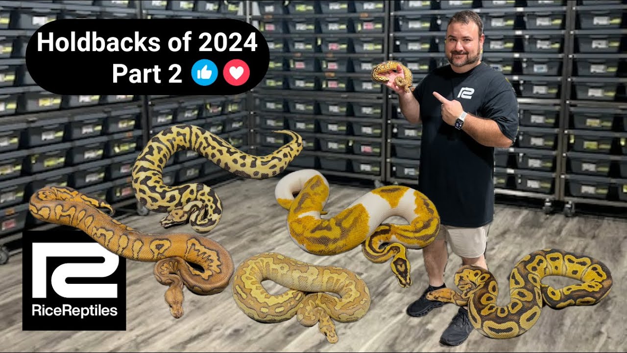 Holdbacks of 2024 - Part 2 - YouTube
