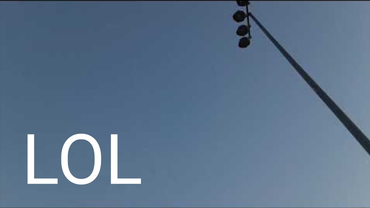 Some Random Birds Flying Video - YouTube