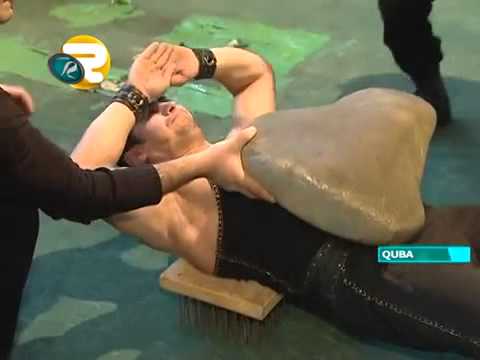 Qubalı Pehlevan Qardaslar Huseyn Lacın Regıon Tv