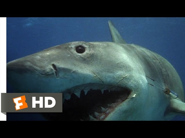 Jaws 4