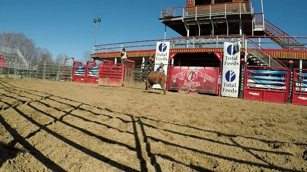 DAVIS RODEO RANCH 8X2 - YouTube