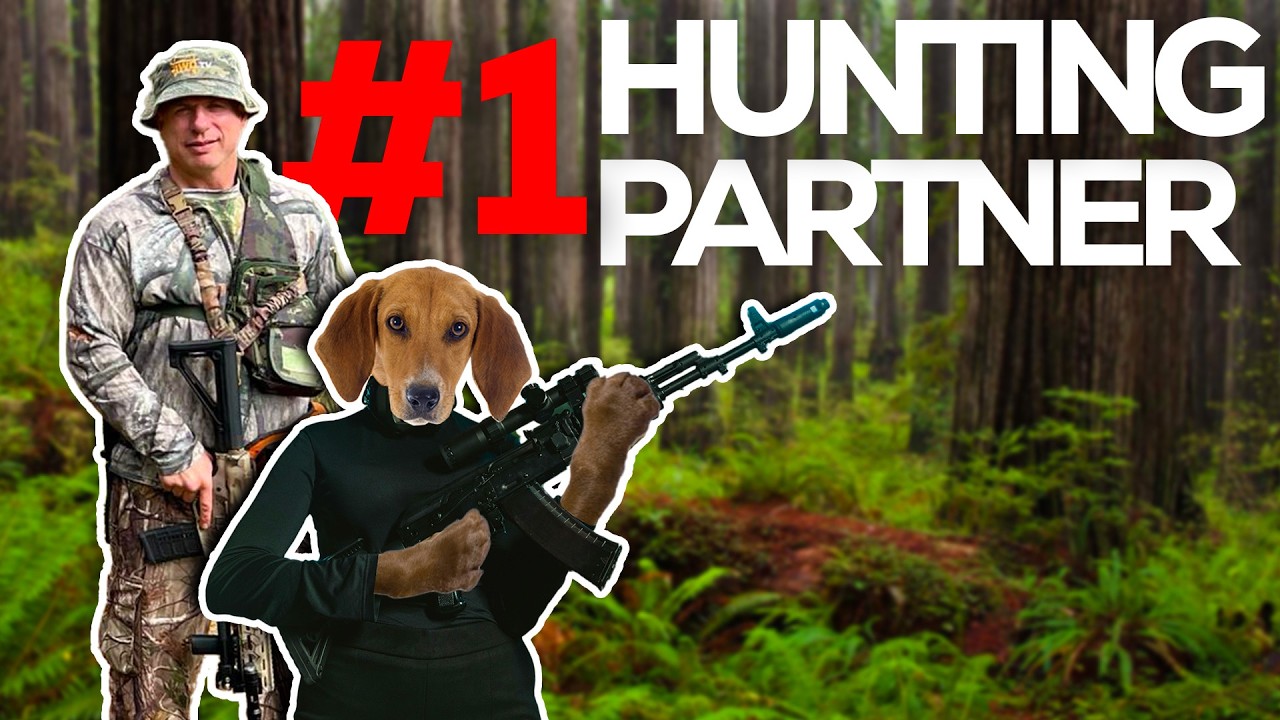 Australia’s Top Hunting Event: Victorian Hound Hunters - YouTube