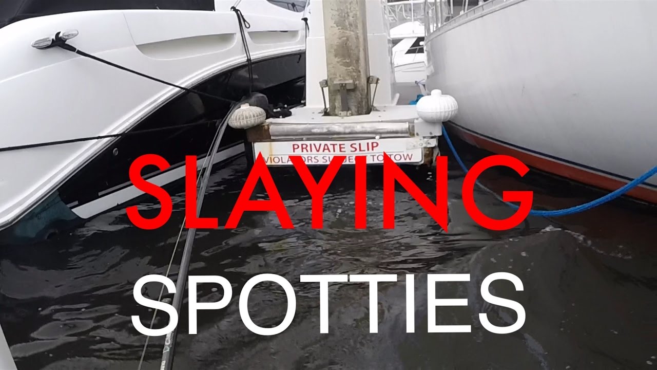 Spottie Fishing Competition | Spotted Bay Bass Fishing - YouTube