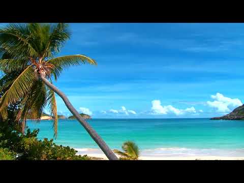 HUZUR VEREN SAHİL DENİZ SESİ