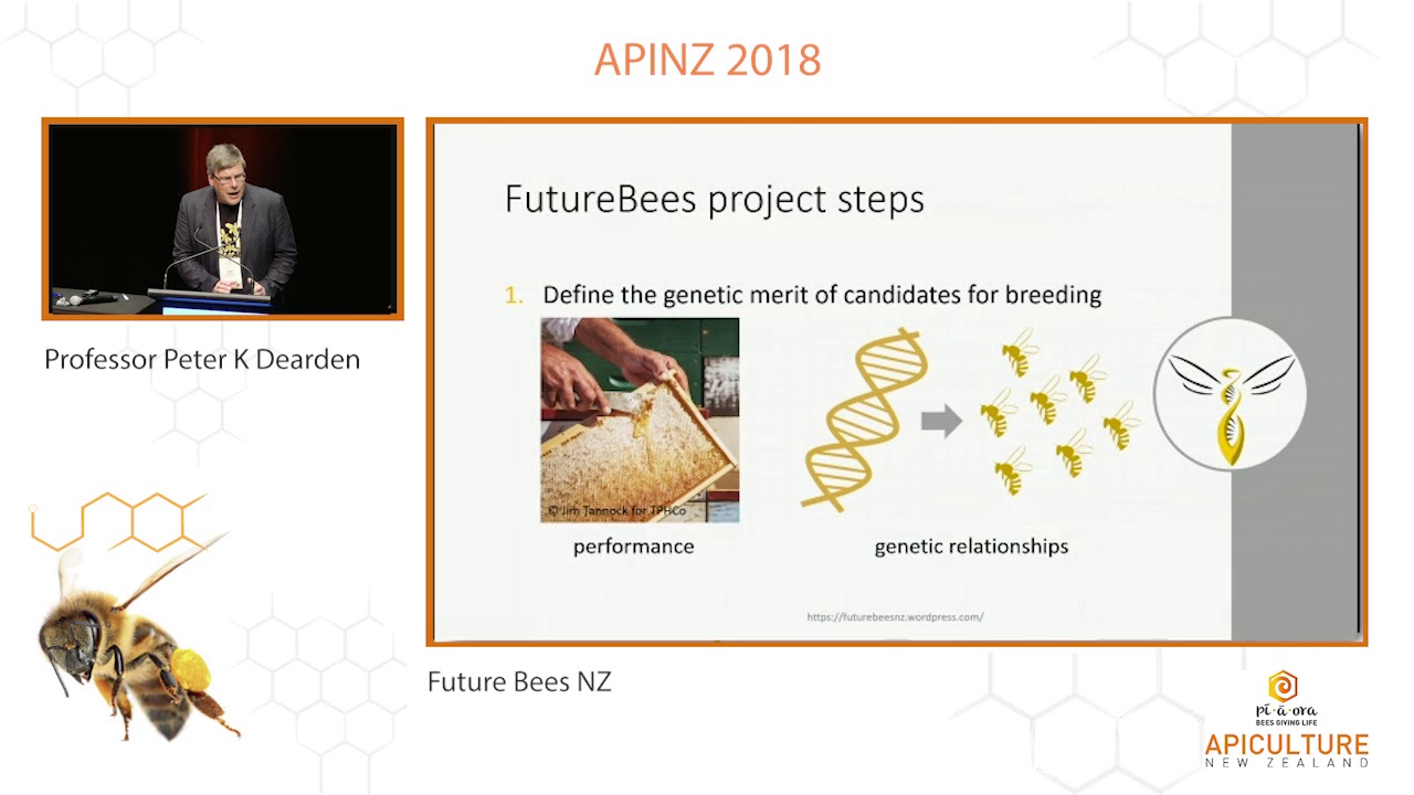 Professor Peter K Dearden - Future Bees NZ - YouTube