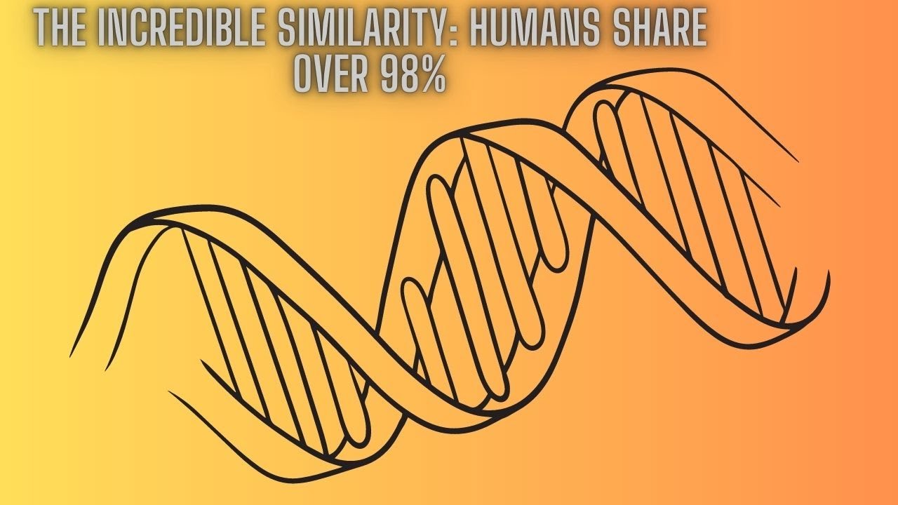 The Incredible Similarity: Humans Share Over 98% of Their DNA with ...