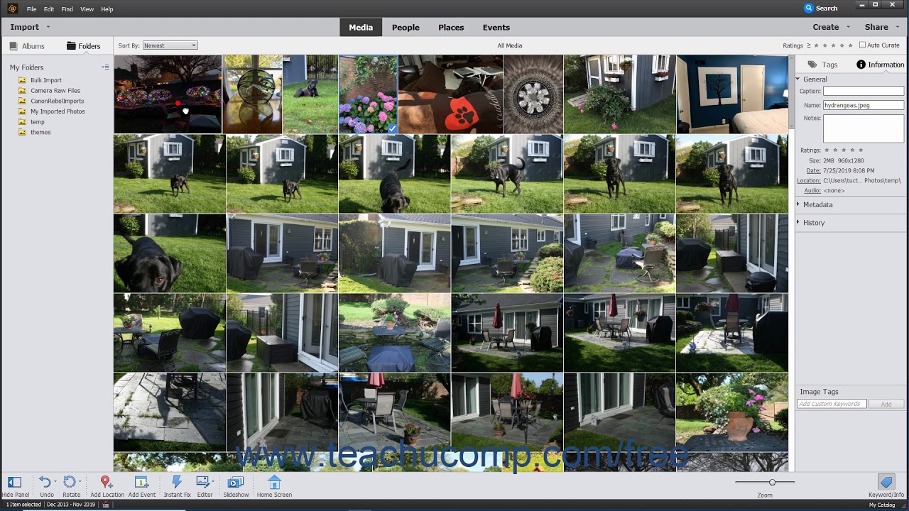 Photoshop Elements 2020 Tutorial Managing Files in the Organizer Adobe ...