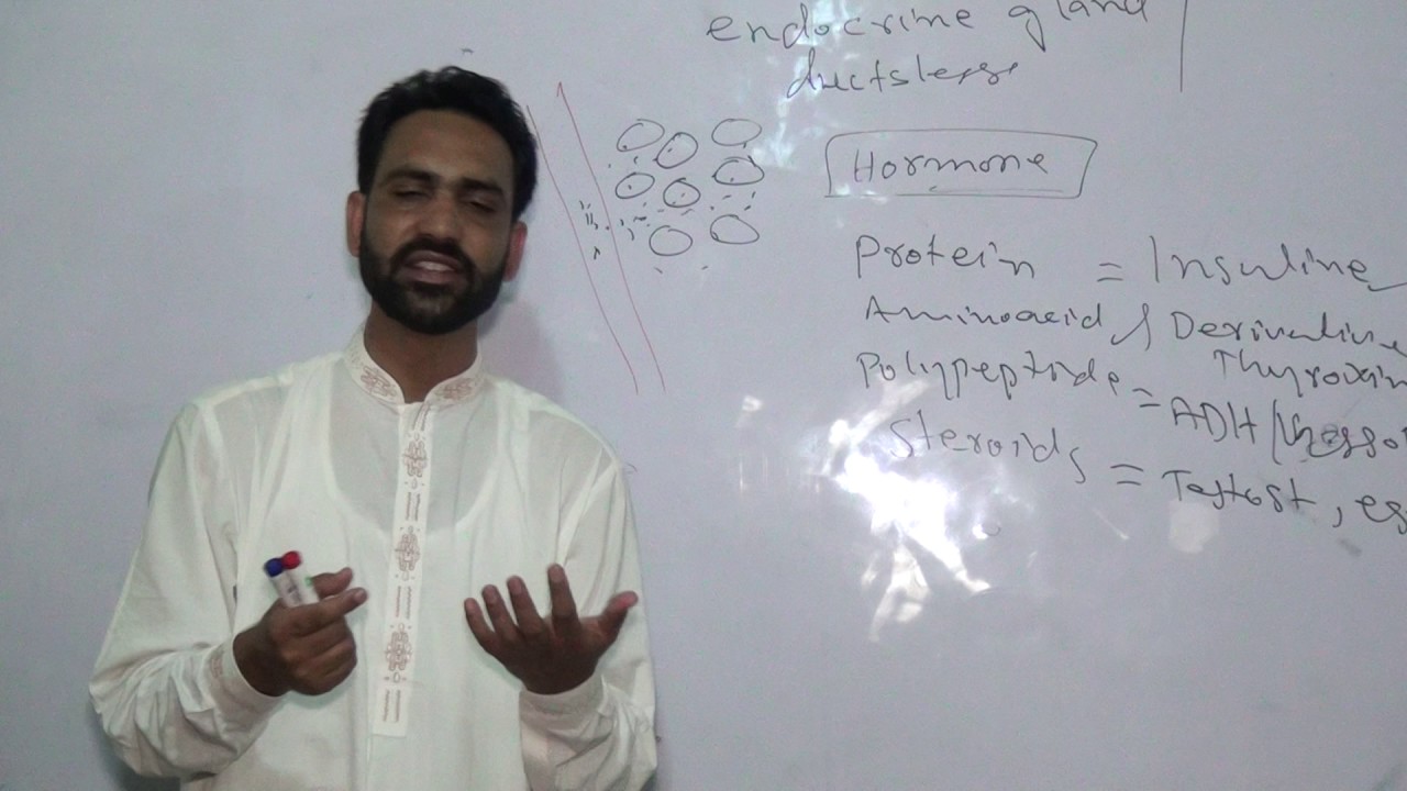 Chemical Coordination (Endocrine System), Lecture 1 of 5, by Sir Raja ...