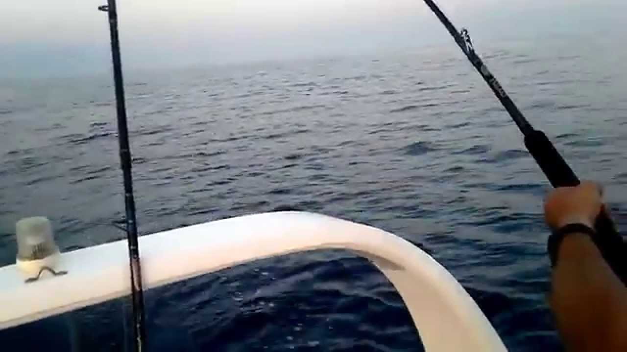 Ψαρεμα τονου δυο χτυπηματα ταυτοχρονα - YouTube