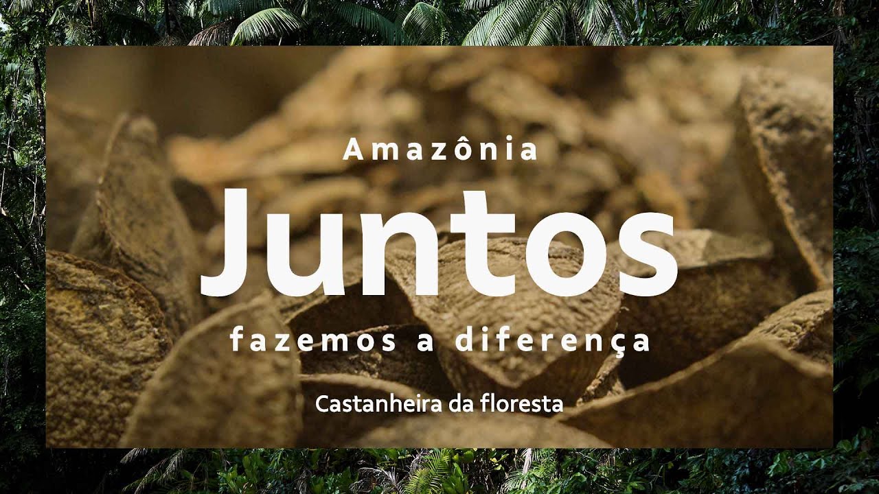 Amazônia Juntos Fazemos a Diferença – Castanheira - YouTube