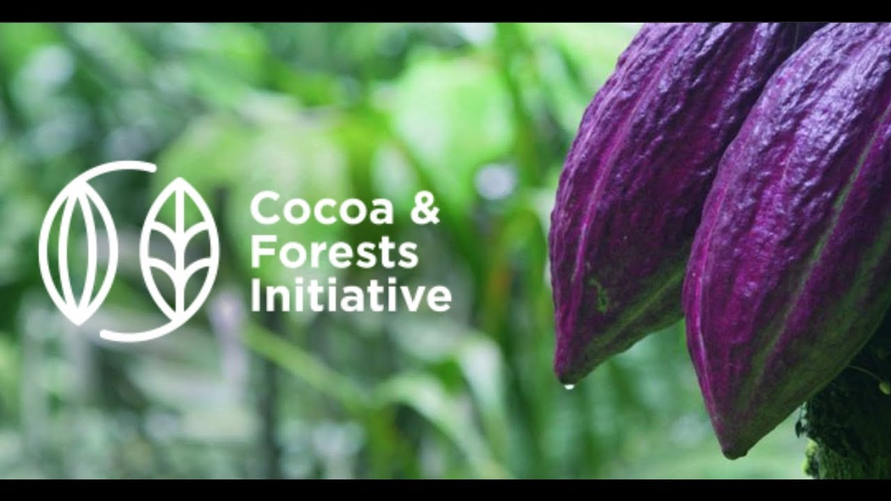 The urgency and action of the Cocoa & Forests Initiative - YouTube