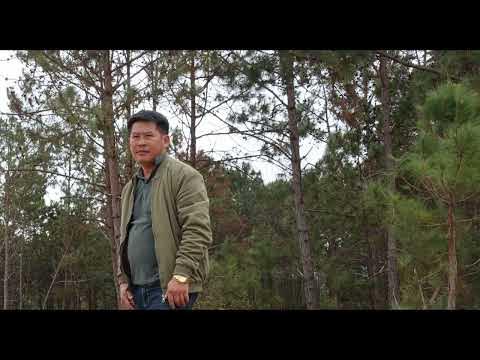 ca yuav khuv xim lub sij hawm thaum 40 yxoo/1/26/2023 - YouTube