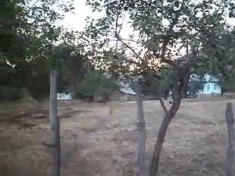 Azerbaijan, Talysh- Hamat village