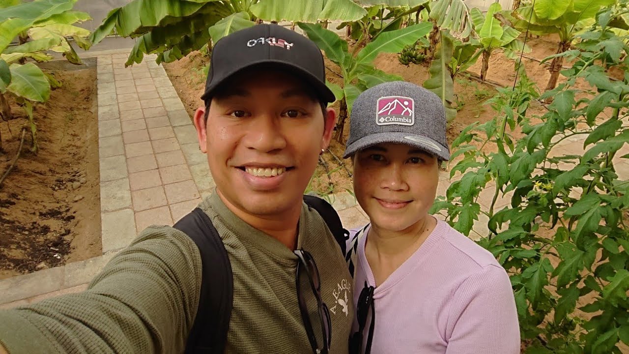 Farm visit at Emirates Bio Farm Al Ain UAE #emiratesbiofarm #ebf #alain ...