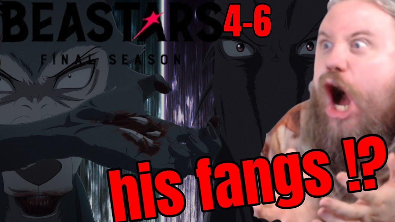 Legoshi vs Yahya his FANGS !? | Beastars Season 3 Episode 4 - 6 ...