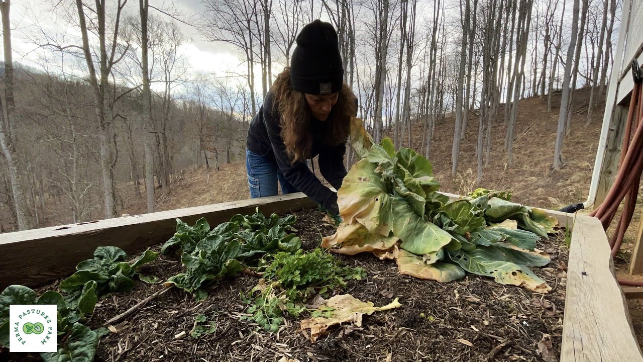 Getting the Garden Ready for Spring! - YouTube