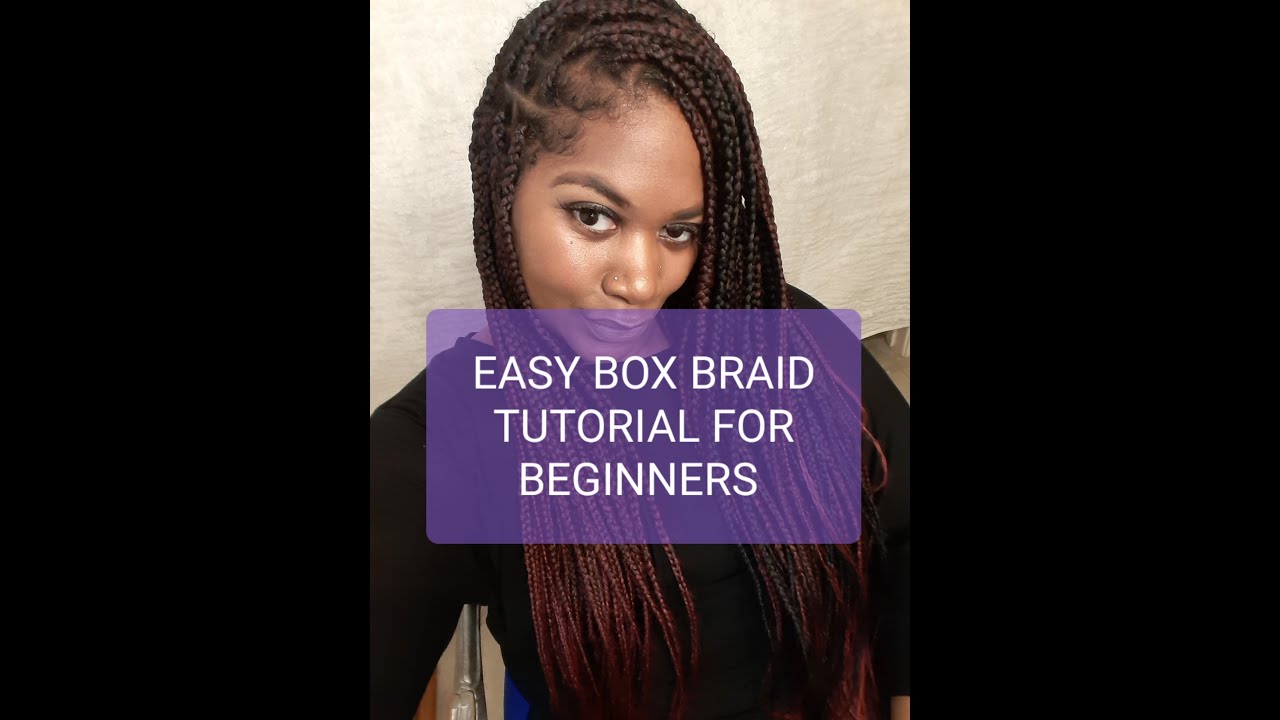 EASY BOX BRAID TUTORIAL for BEGINNERS using the 2 strand twist method ...