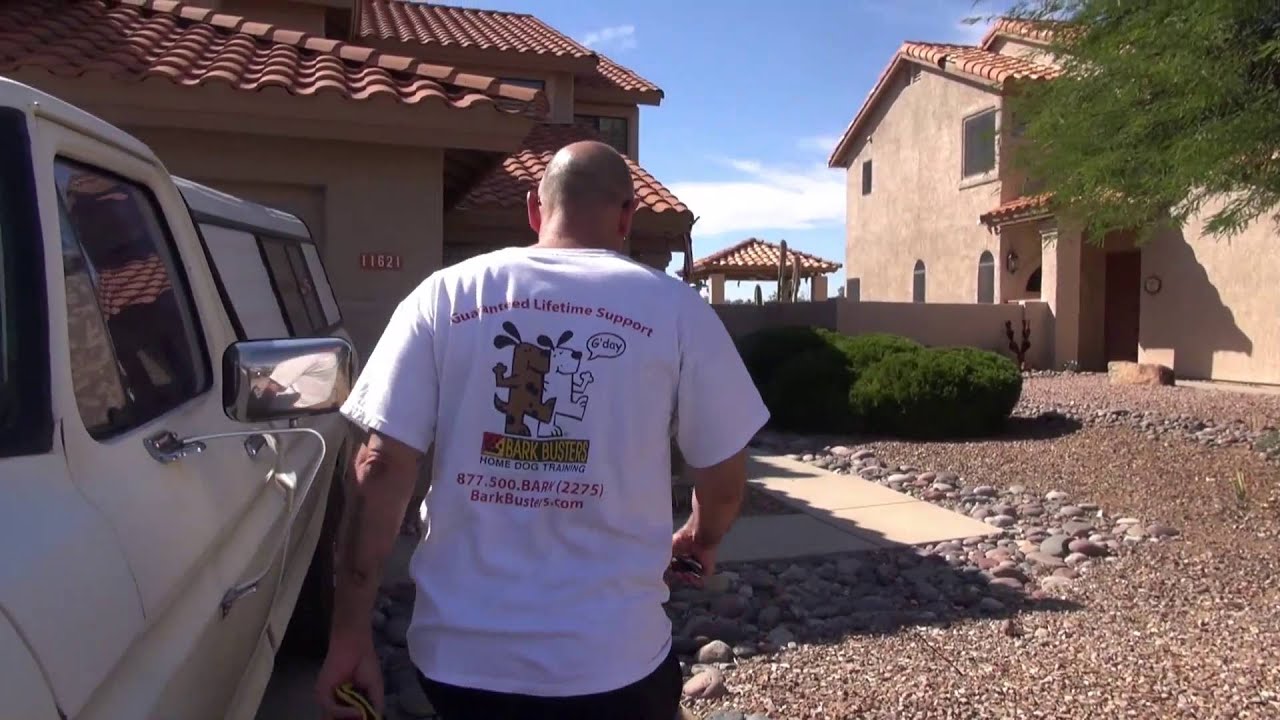 Joe and Marcie Natale share their experiences about being a Bark ...