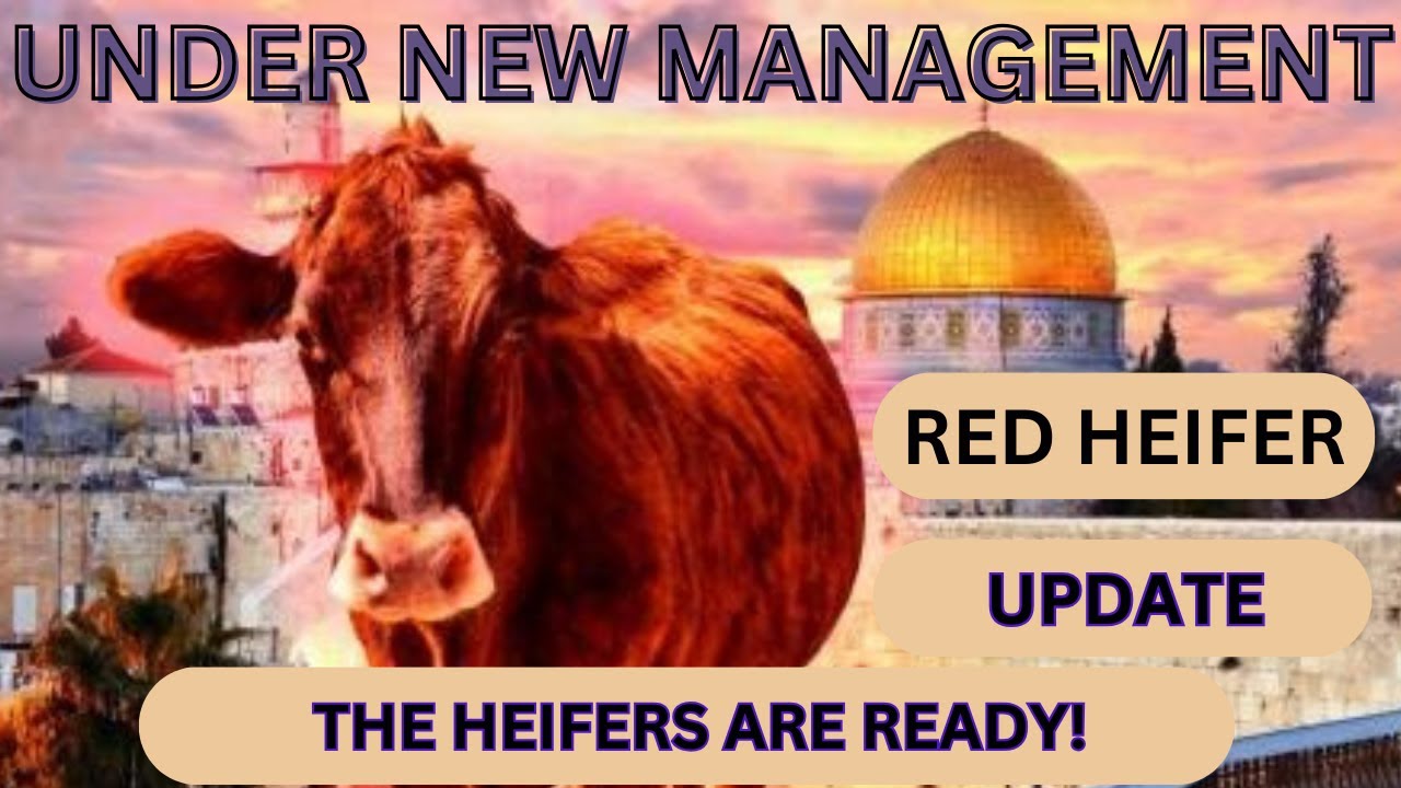 RED HEIFER CONFERENCE | MARCH 27TH | TEMPLE INSTITUTE | LAST DAYS - YouTube
