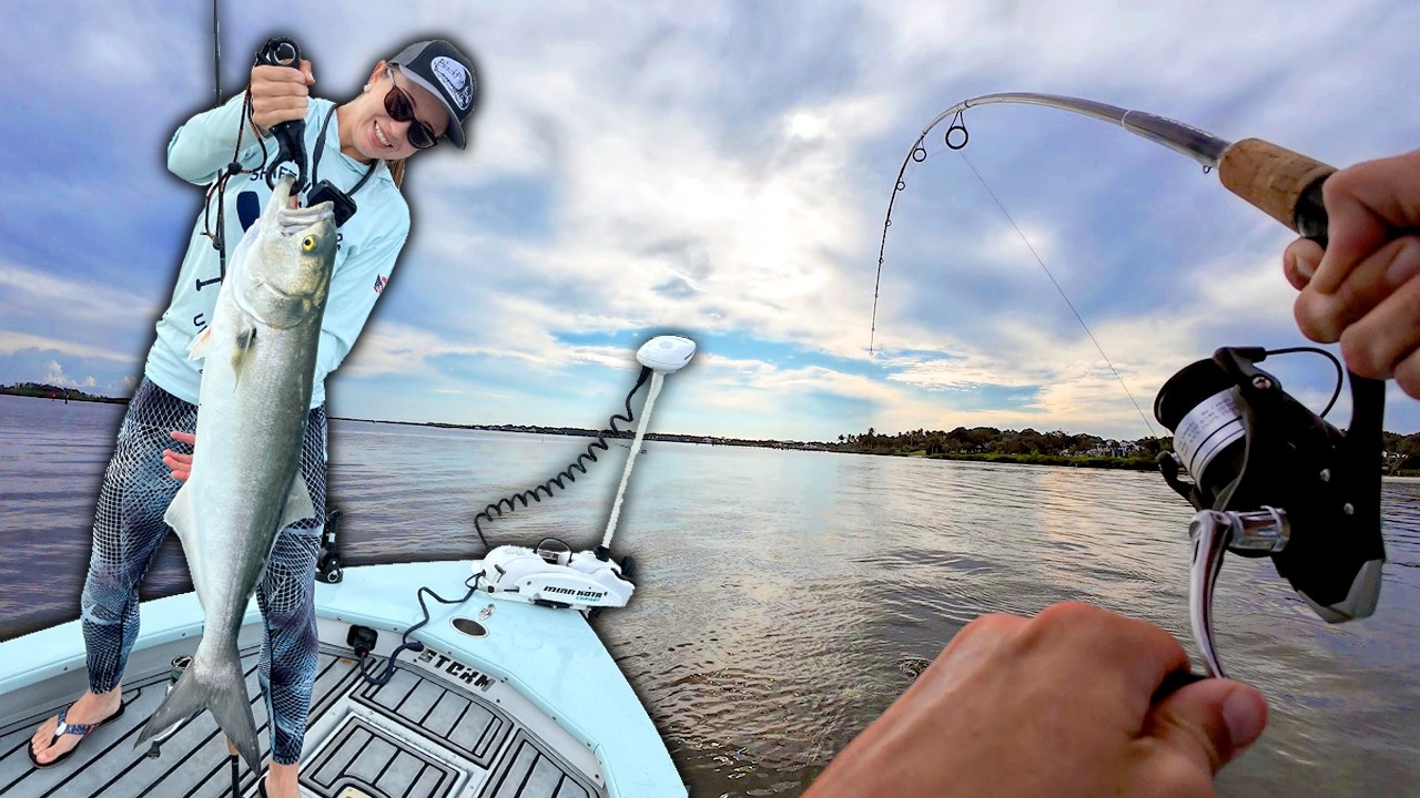 Monster Bluefish on Blackfin Rods! - YouTube