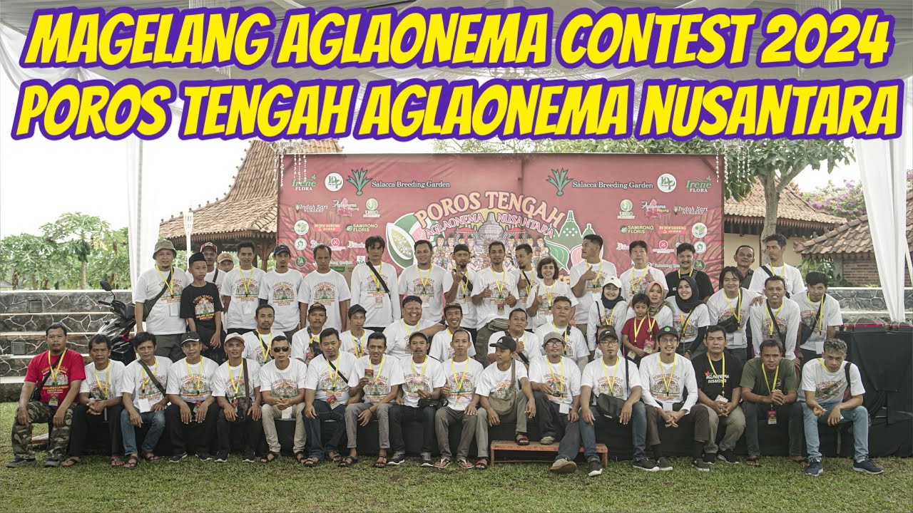 MAGELANG AGLAONEMA CONTEST 2024‼️KONTES AGLONEMA RUMAH TAMAN‼️OFFICIAL ...