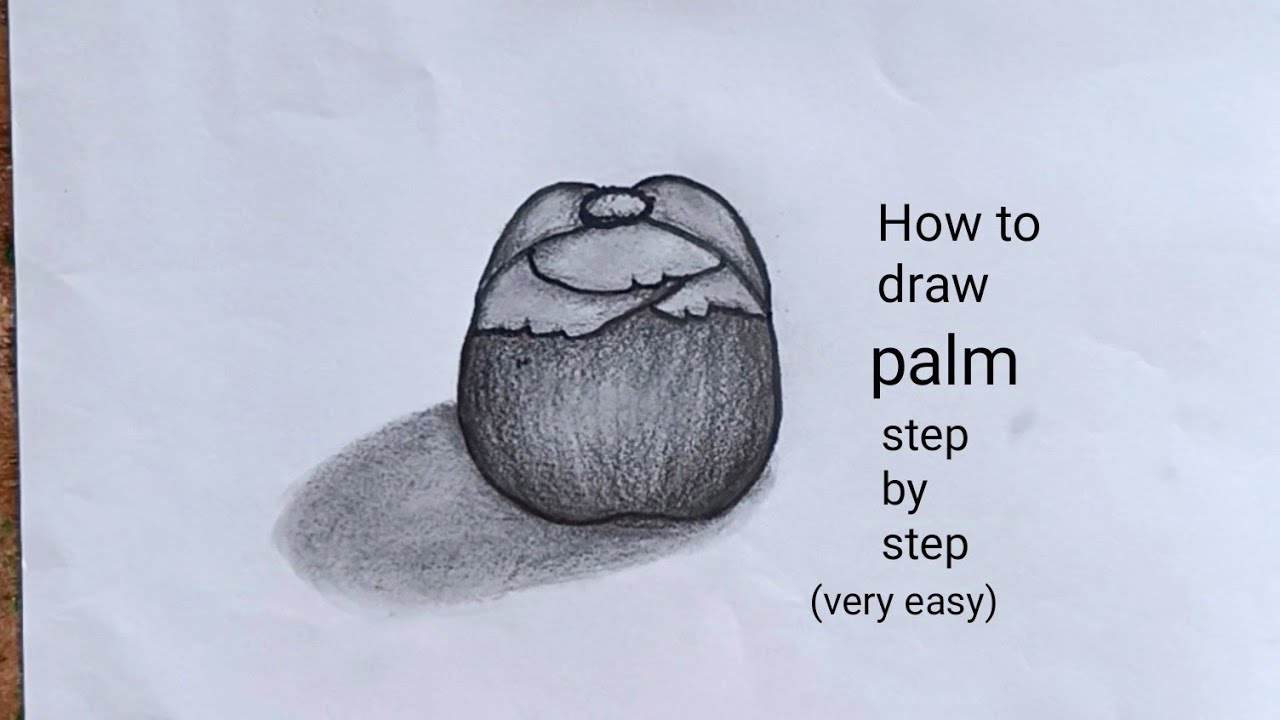 How to draw palm step by step || Pencil drawing - YouTube