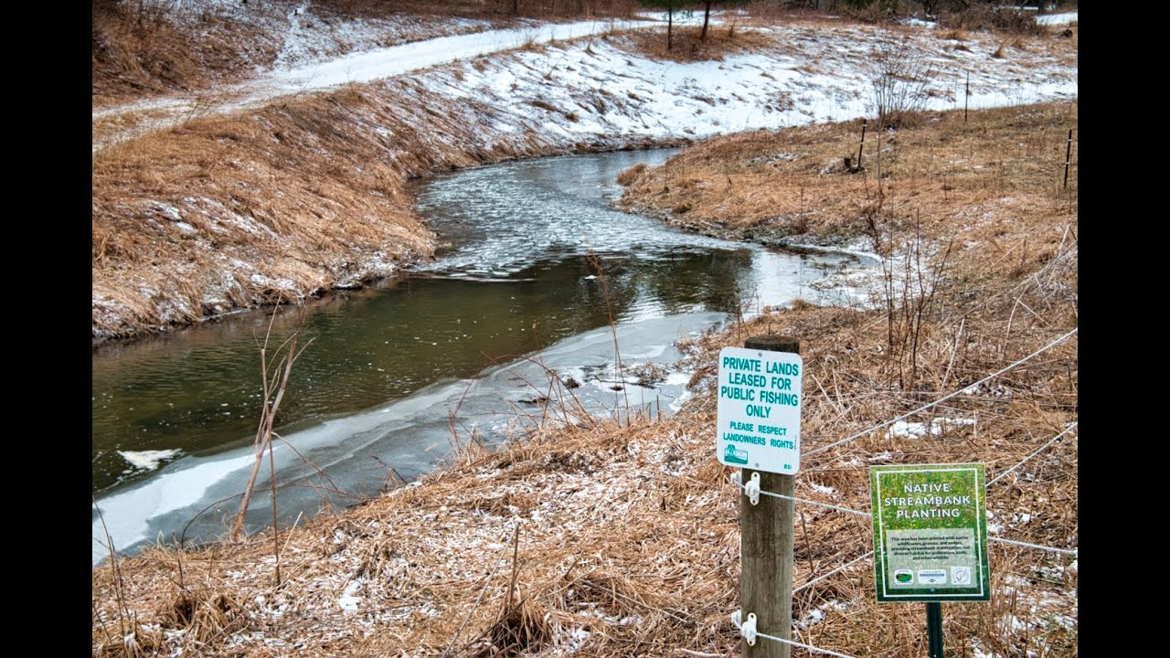WITU Talking Trout (ep. 28) the Stream Bank Protection Program and ...