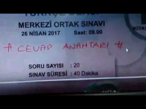TEOG Türkçe CEVAPLARI