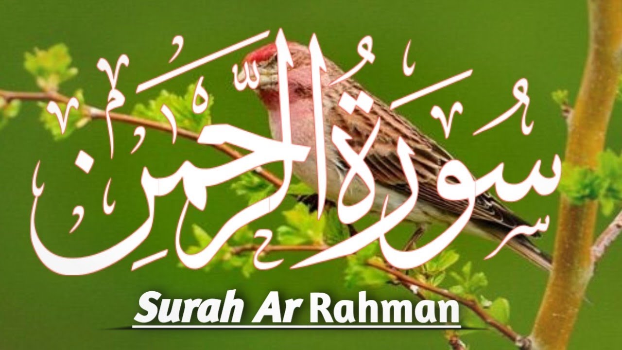 Surah Al Ala Beautiful Recitation Sabbihisma surah with Urdu ...