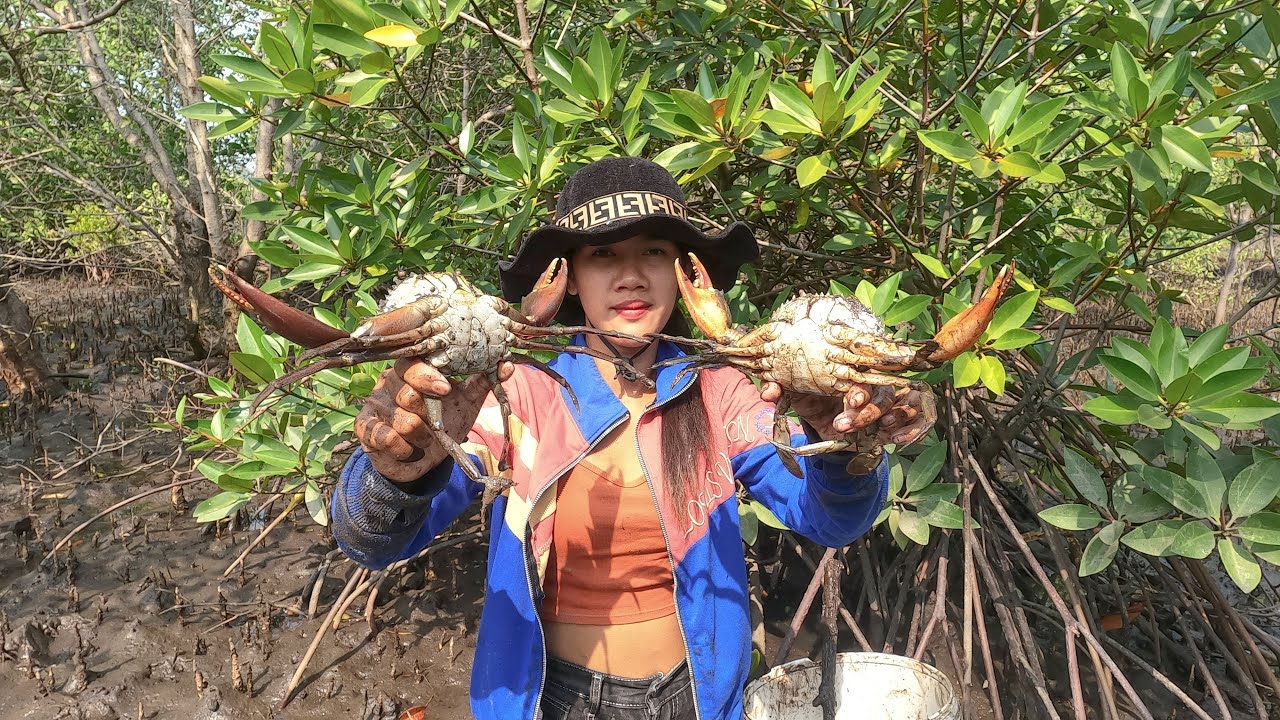 Amazing Catch Many Huge Mud Crabs at The Sea Swamp after Water Low Tide ...