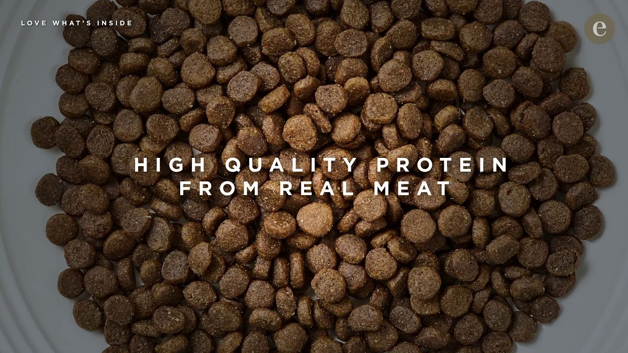 Encore Cat - Chicken Dry Food - YouTube