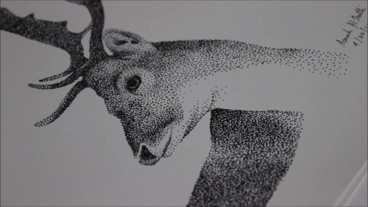 STIPPLING DRAWING: Stag - YouTube