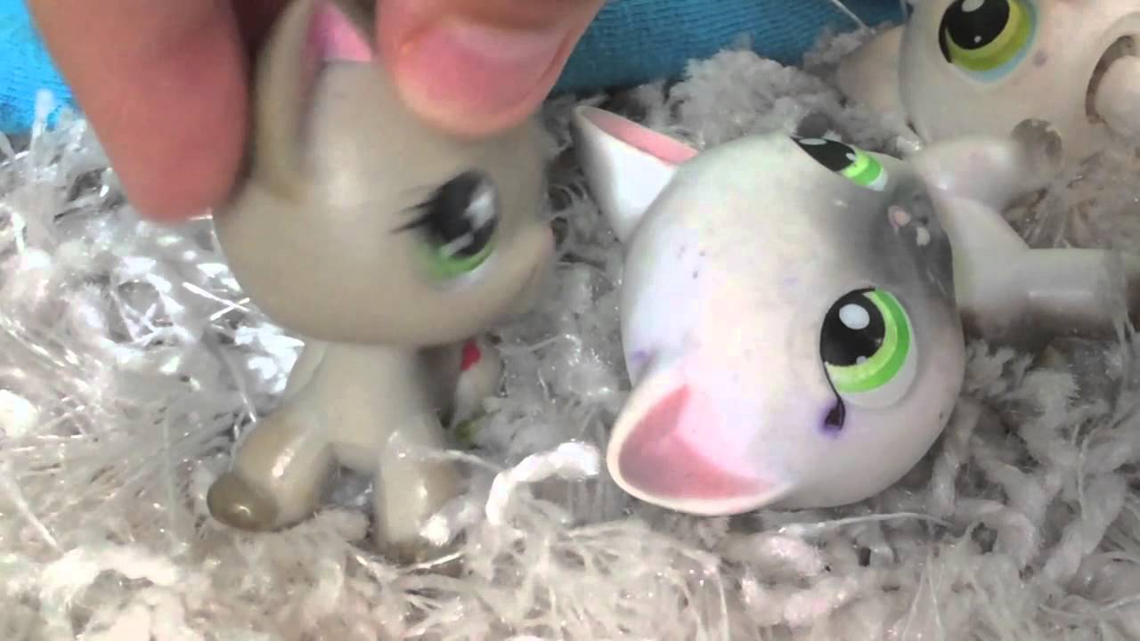 LPS: -Warrior Cats- Silverstream's death *SPOILERS* - YouTube