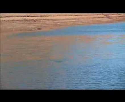 Ish Monroe & Bub Tosh on Lake McClure - YouTube