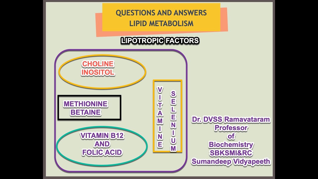 Lipotropic factors Dr DVSSR - YouTube