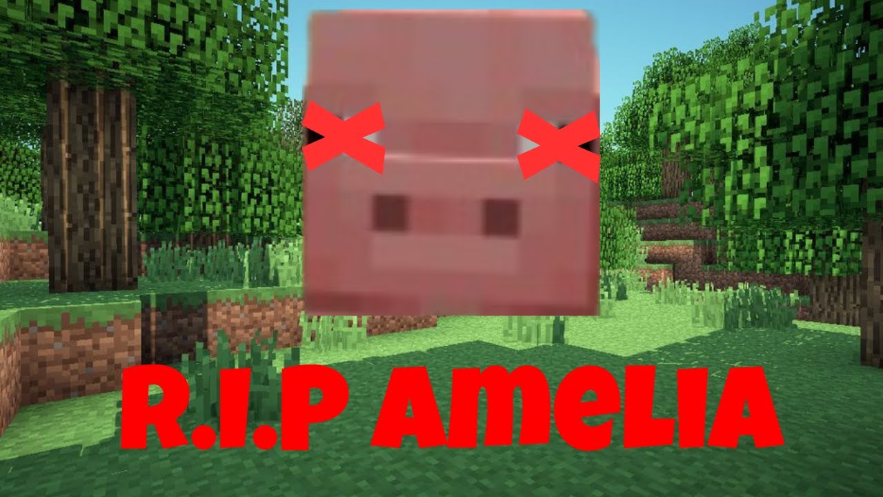 The Story of Amelia The Pig. - YouTube