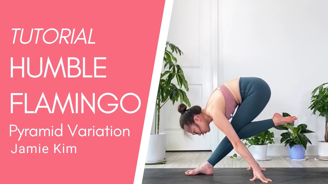 Humble Flamingo Pose Tutorial (Pyramid Variation) - YouTube