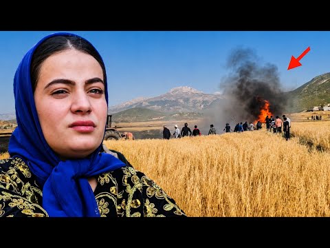 🔥 From saving the farm to betrayal; the events that changed the fate of the village! 🌾💥