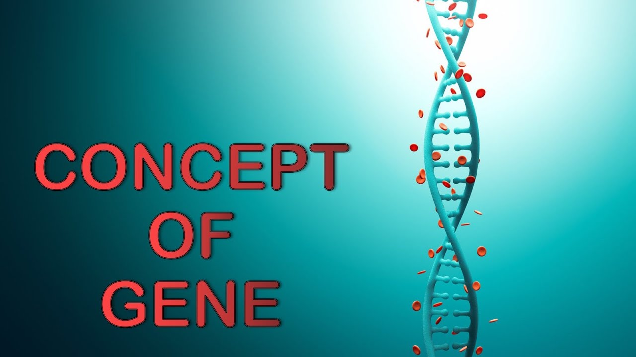 CONCEPT OF GENE : - YouTube