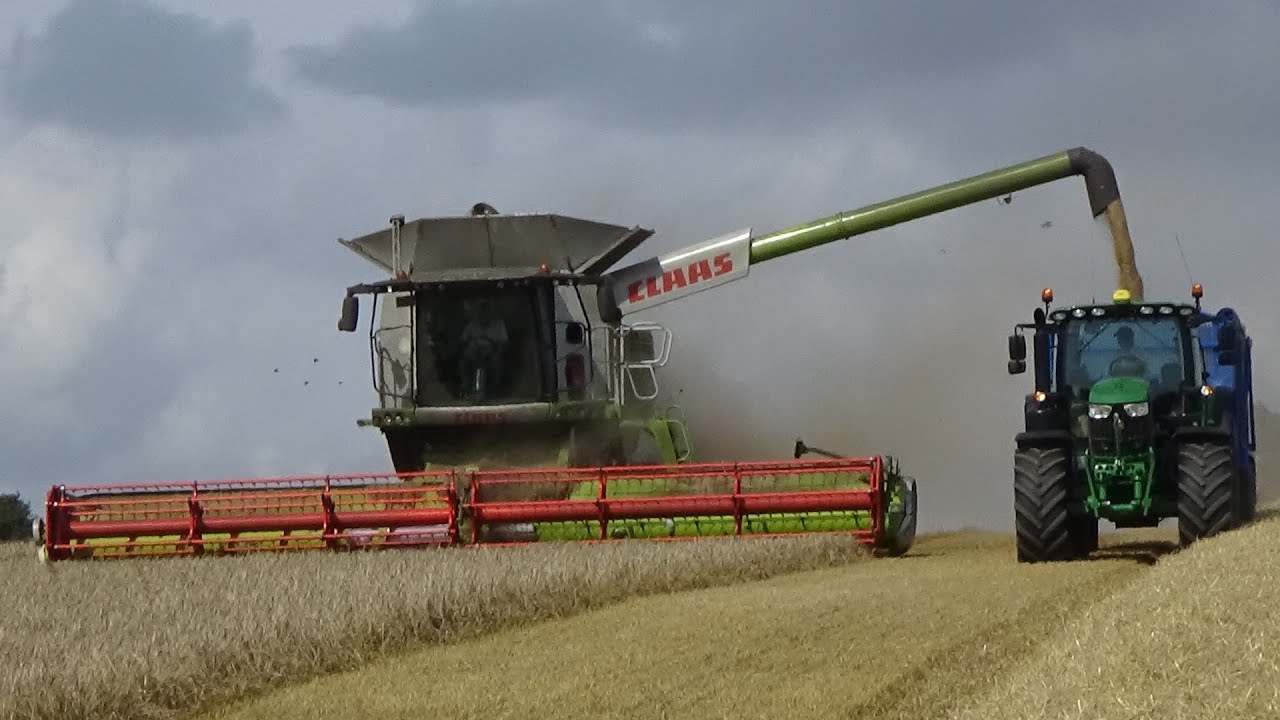 Harvest 2019 - Combining Barley with Claas Lexion 770 & John Deeres ...
