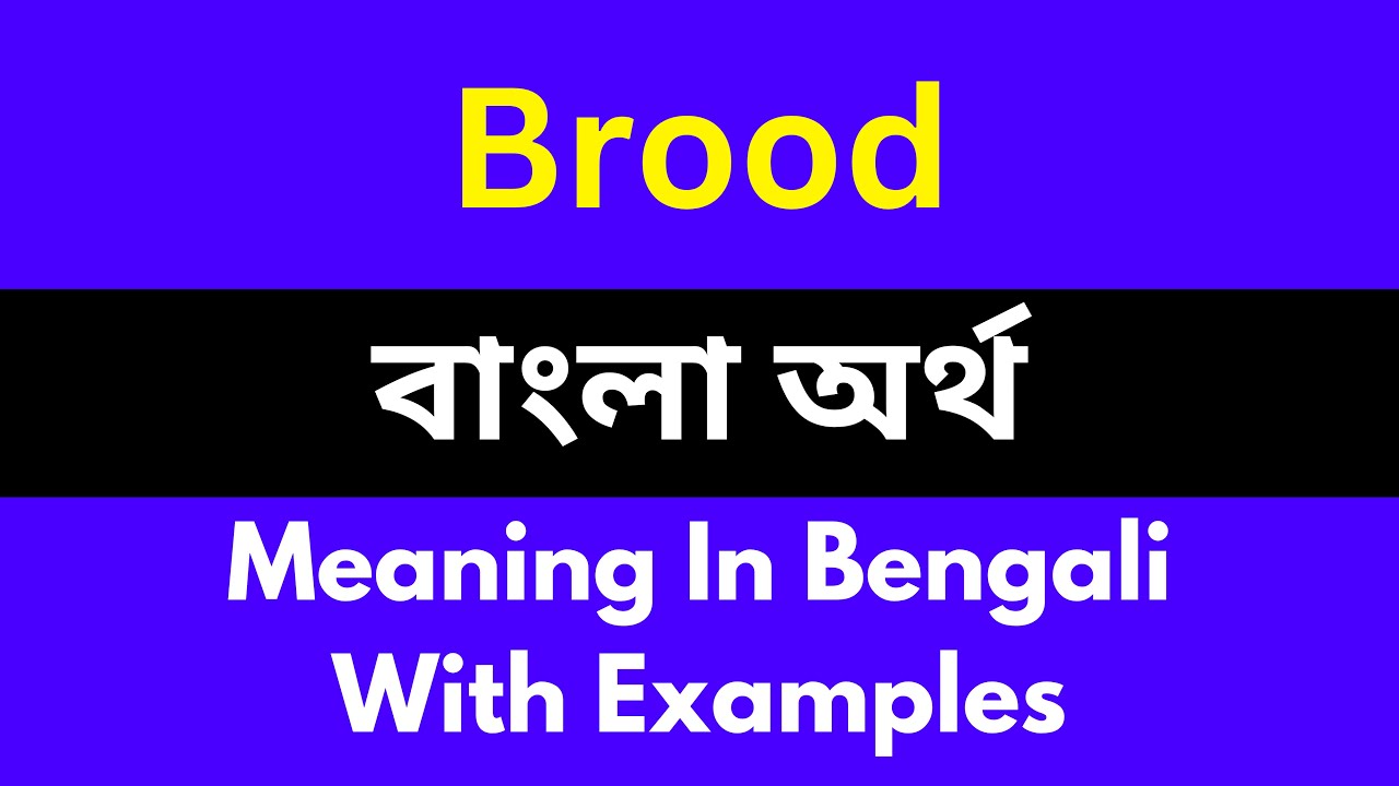 Brood meaning in bengali/Brood শব্দের বাংলা ভাষায় অর্থ অথবা মানে কি ...