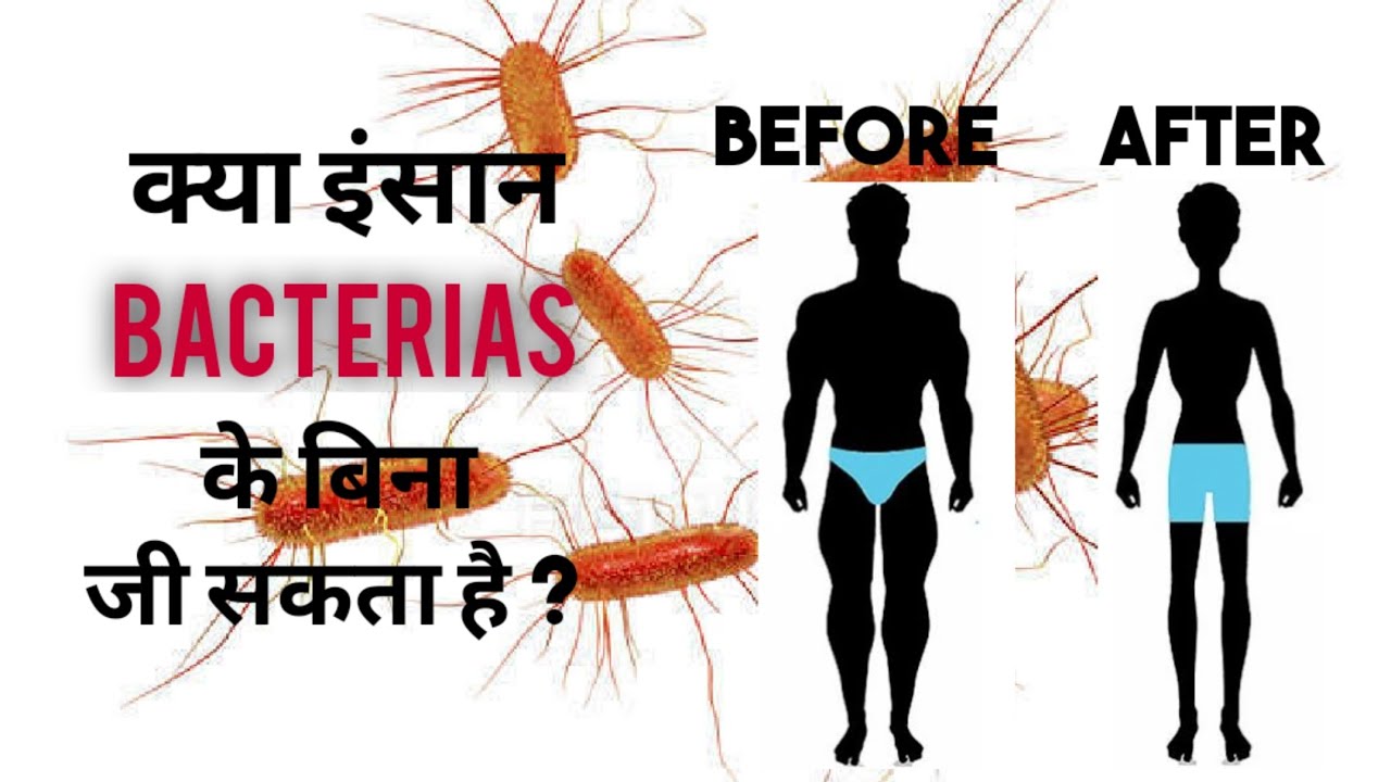 अगर आपकी body के सभी bacteria खत्म होजाये तो क्या होगा? Human body ...