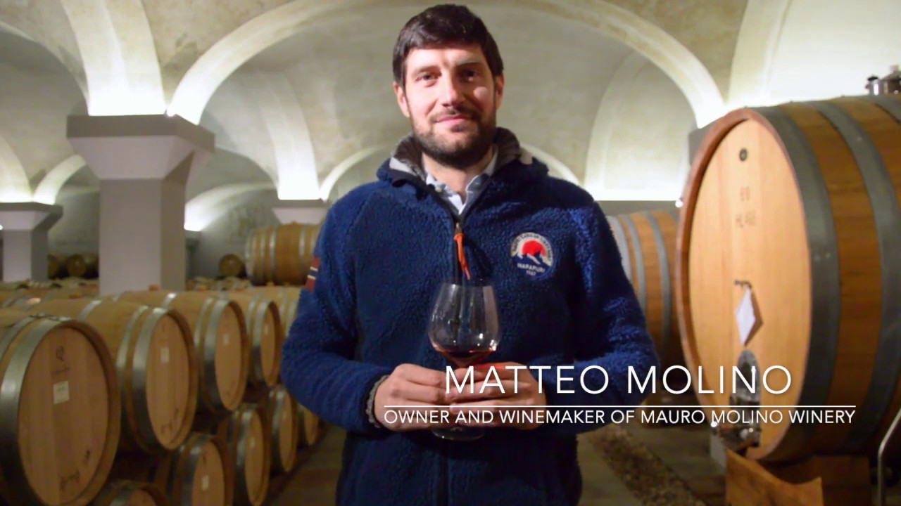 WinesCritic.com - Matteo Molino talks about Mauro Molino in La Morra ...