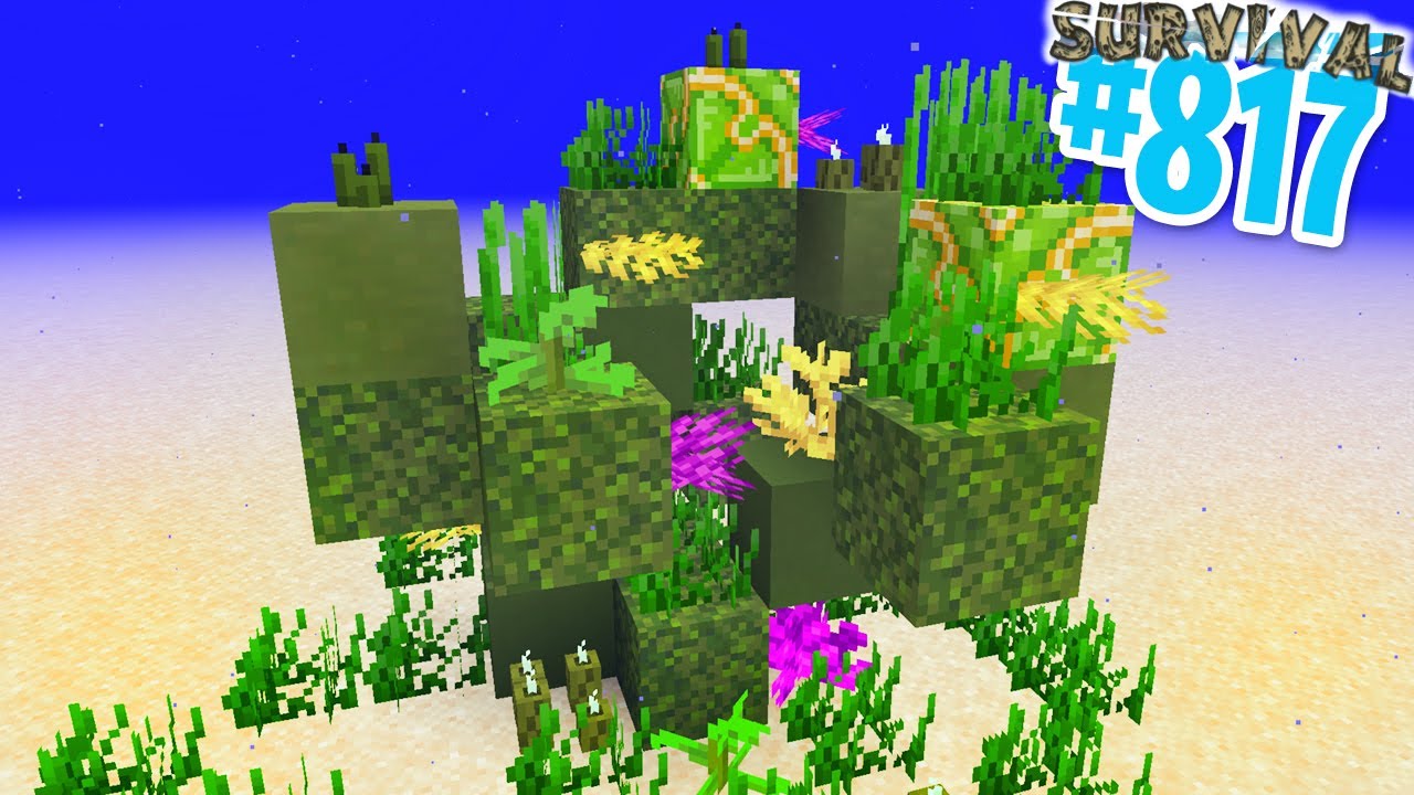 HO CREATO un NUOVO CORALLO - Minecraft ITA SURVIVAL #817 - YouTube