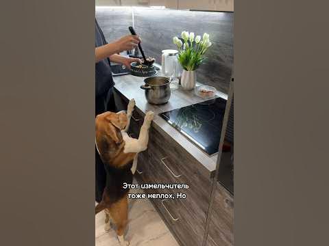 Измельчитель пищевых отходов 🔥🔥 - YouTube